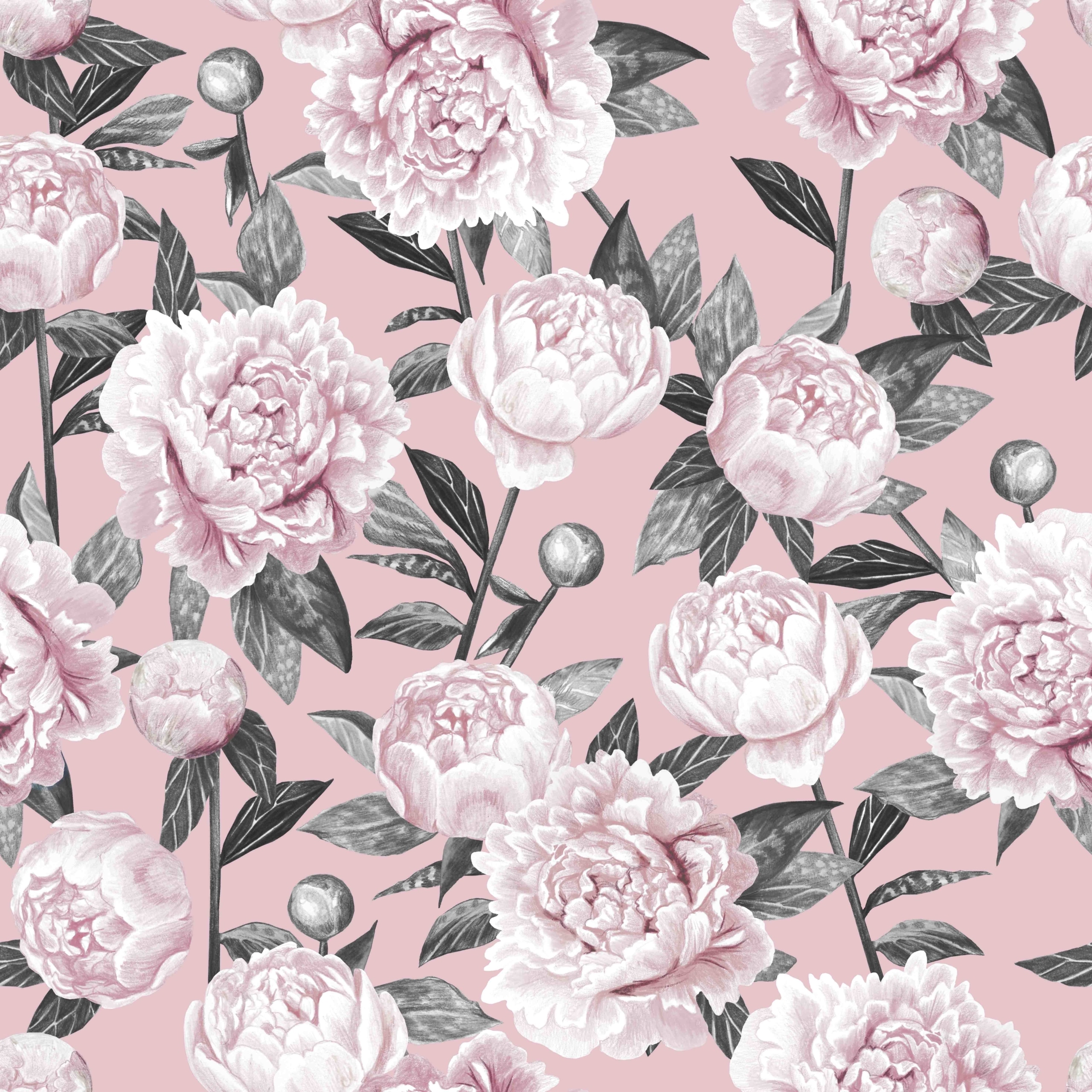 PIONIT -PUUVILLA VANHA ROOSA – nappinja