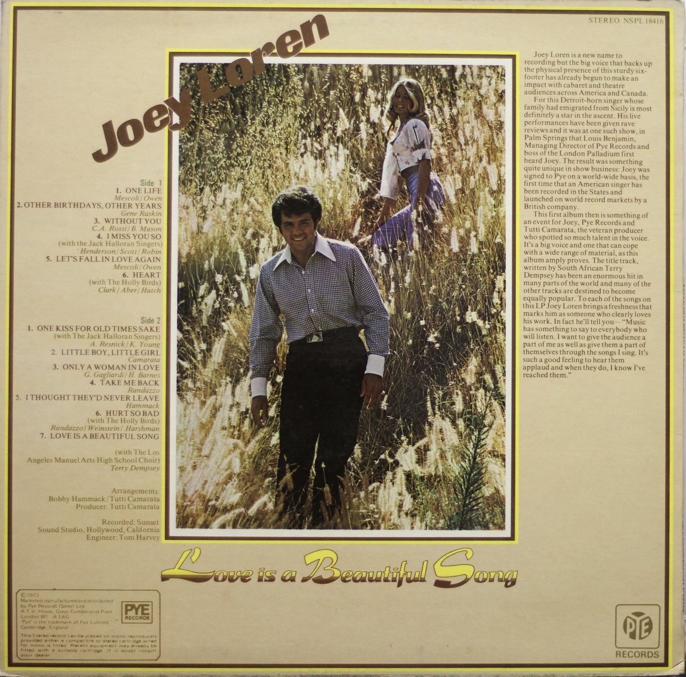 Joey Loren: Love Is A Beautiful Song LP (Käyt) – Äänilevykauppa älppäri.fi