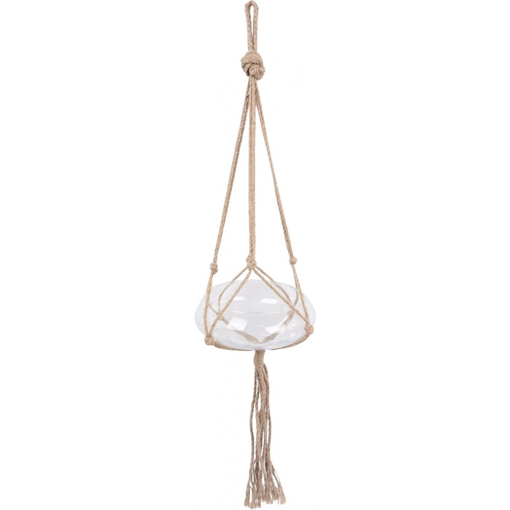 Amppeli FALUN – Divitia