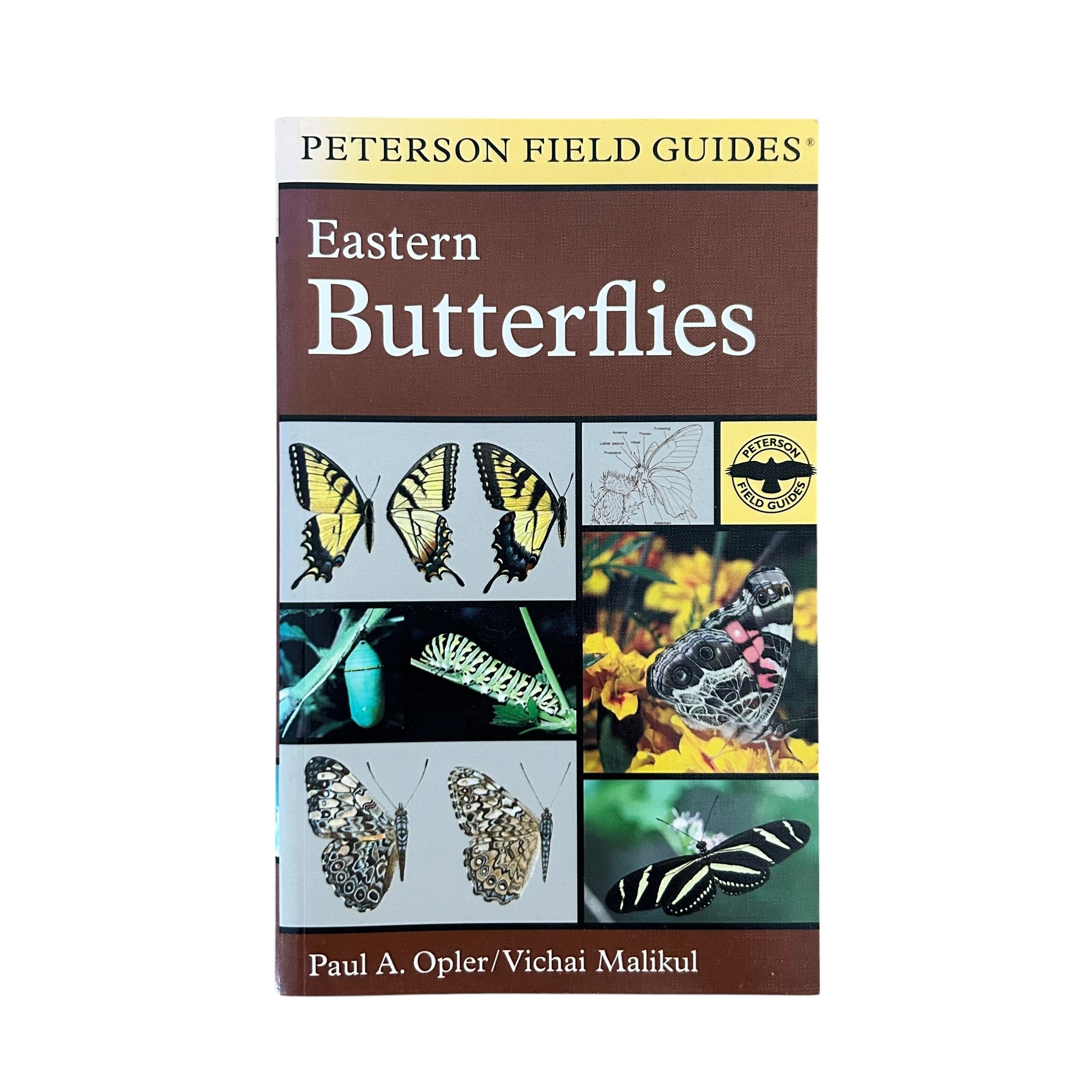 Paul A. Opler: Eastern Butterflies – Bazaari.fi