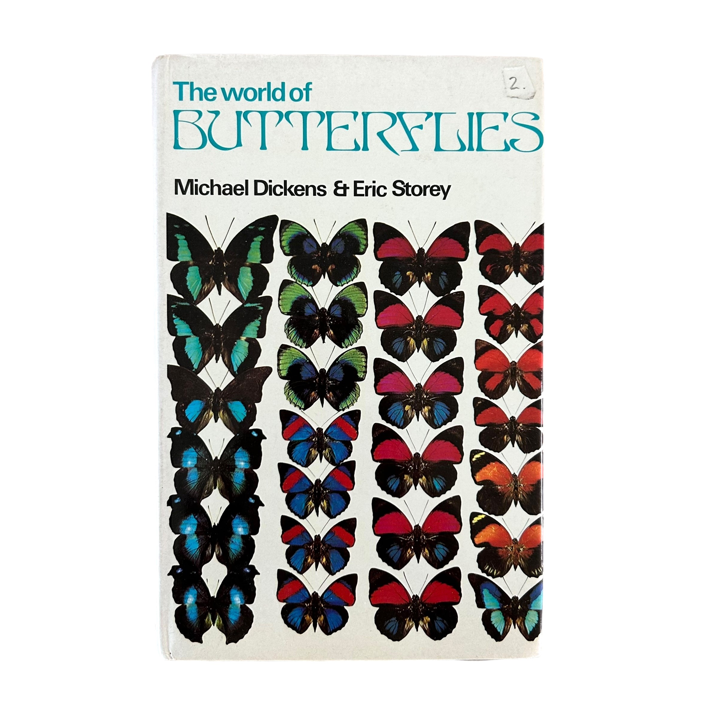 The world of butterflies | Bazaari.fi