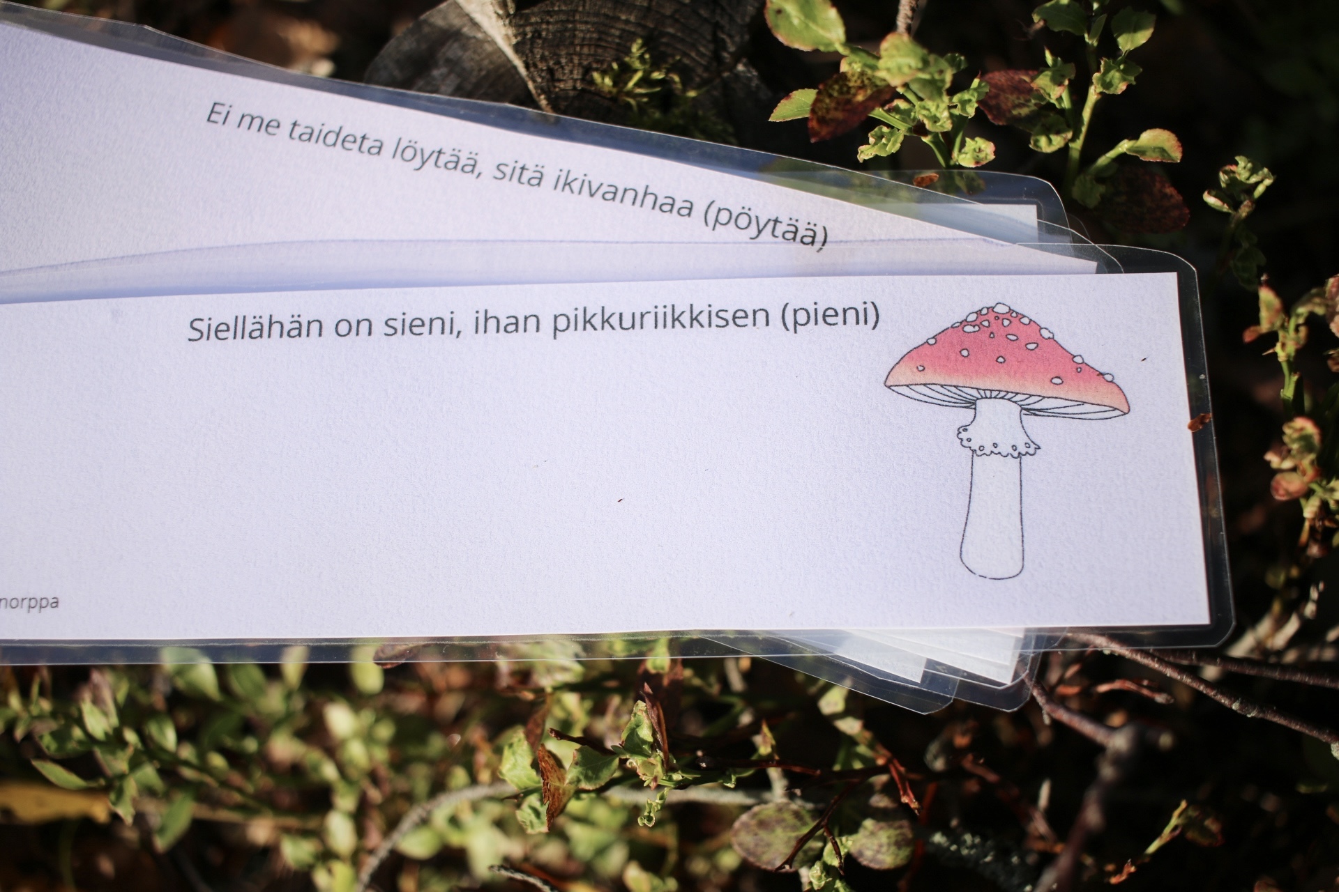 Jatka virkettä riimillä -riimiparitehtävä | Taikanorppa