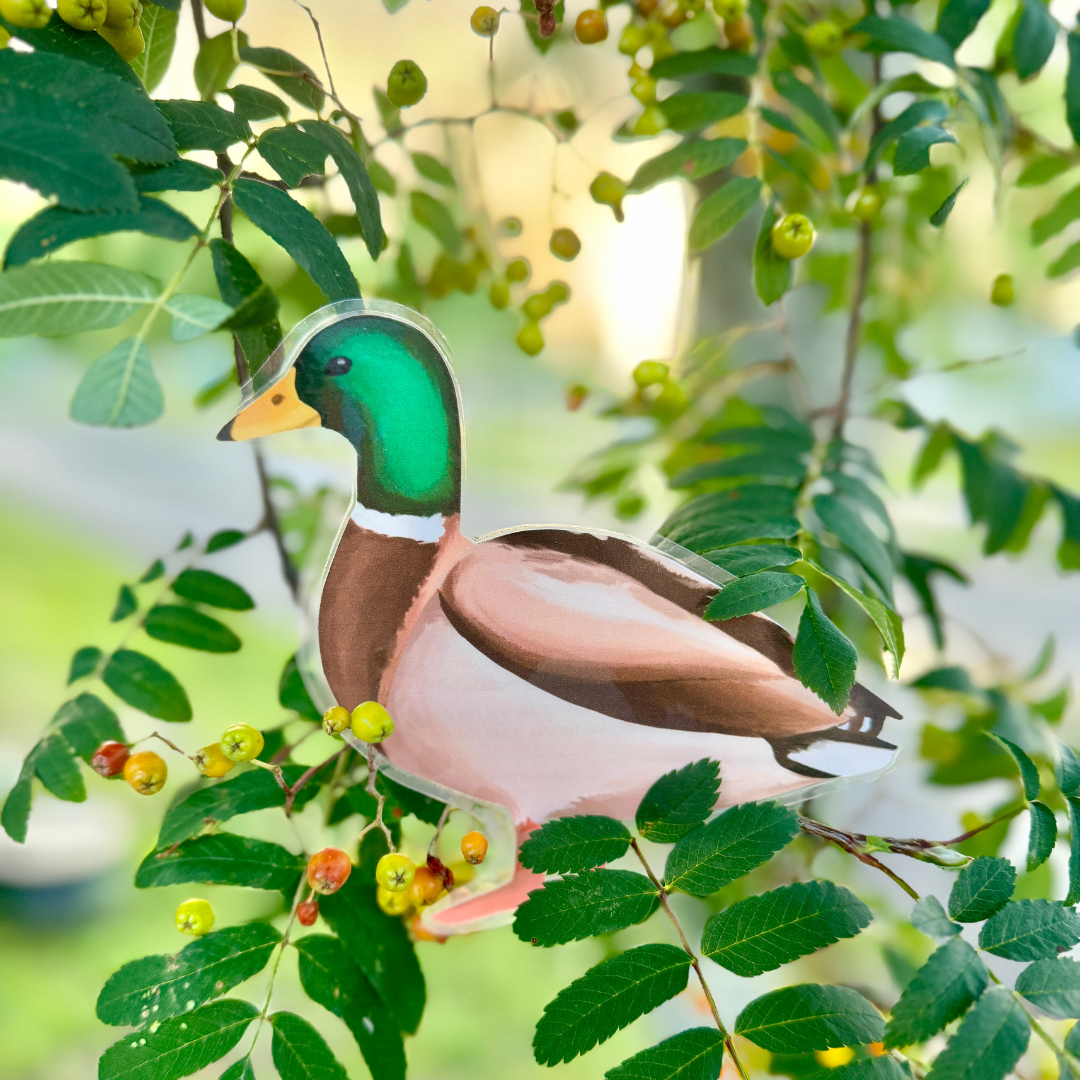 Lintulorut osa 2 | Lasten lintuviikkoon materiaalia – Taikanorppa