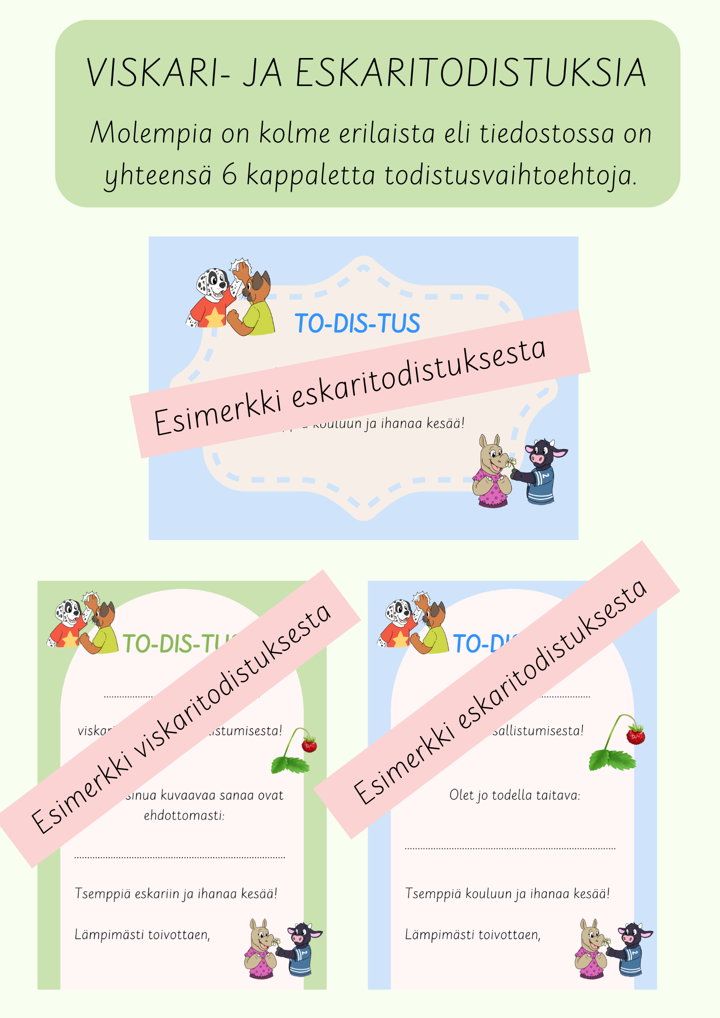 Eskaritodistus + viskaritodistus | Taikanorppa